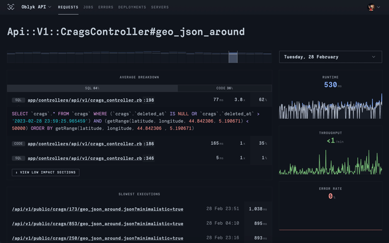 The one-person framework monitoring tool - RorVsWild